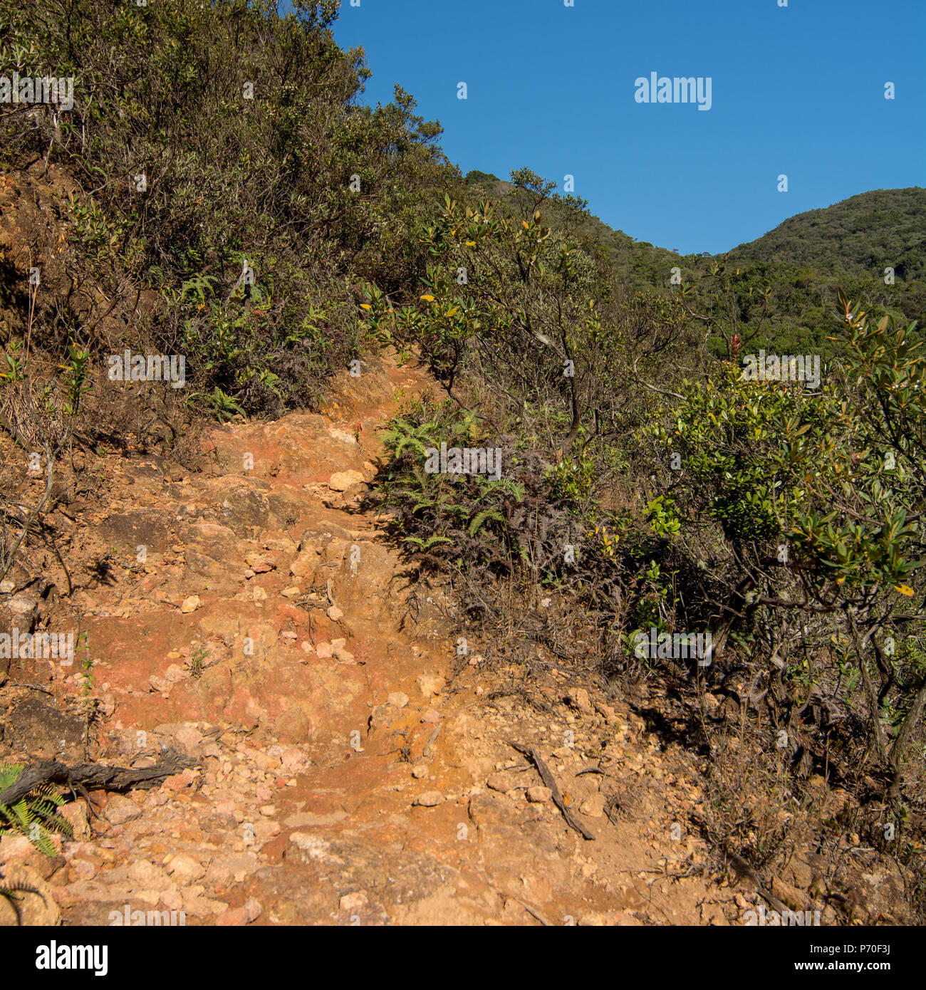 Erosion forest brazil hi-res stock photography and images - Alamy