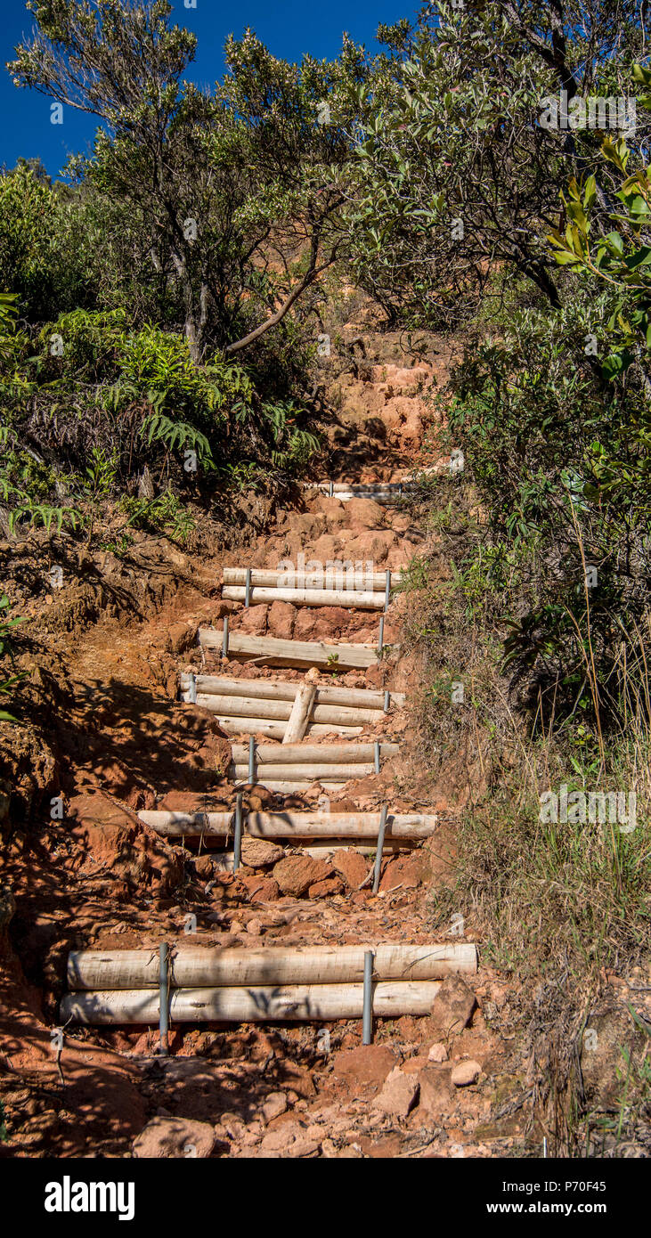 Morro do Bone trail, Petropolis, Rio de Janeiro, Brazil, featuring a ...