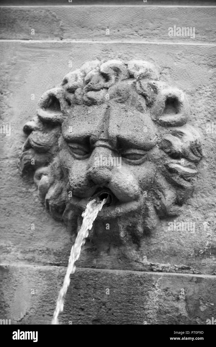 Central lion Black and White Stock Photos & Images - Alamy