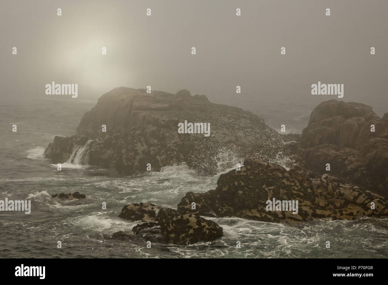 Sea cliff mist fog rocks foggy hi-res stock photography and images - Alamy