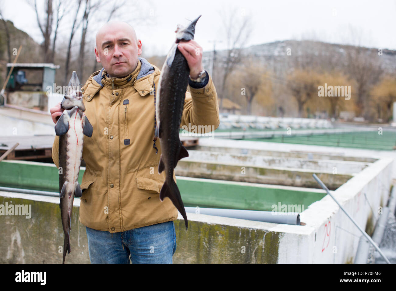 Confident fish farmer holding sturgeon grown on own fish husbandry ...