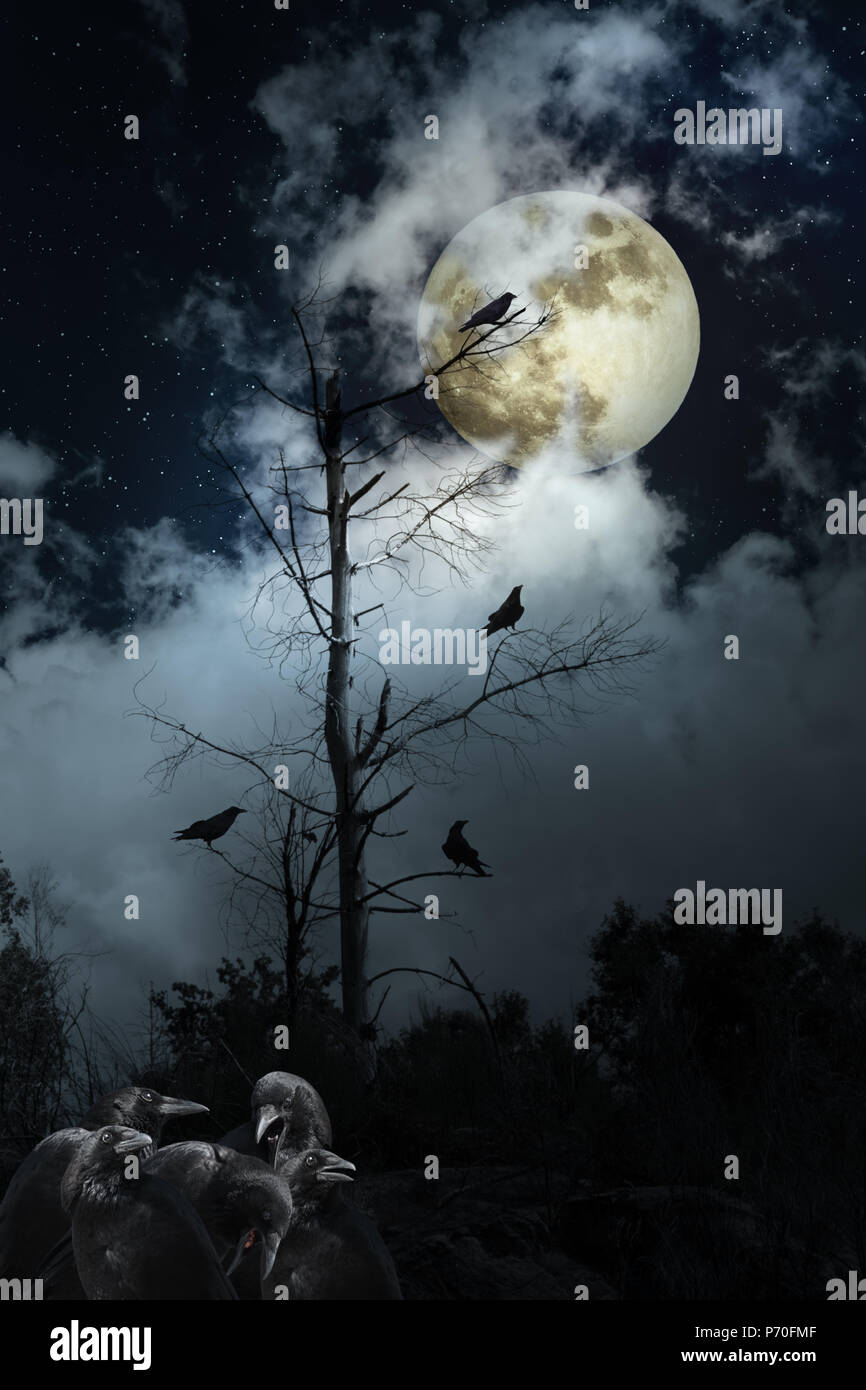 Full moon night with crows Stock Photo - Alamy