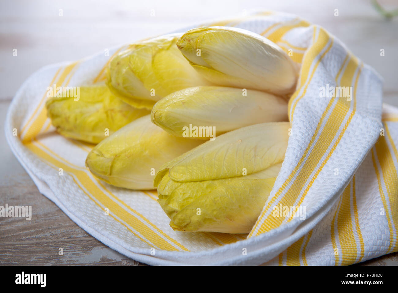 raw organic belgian or french yellow endives Stock Photo - Alamy