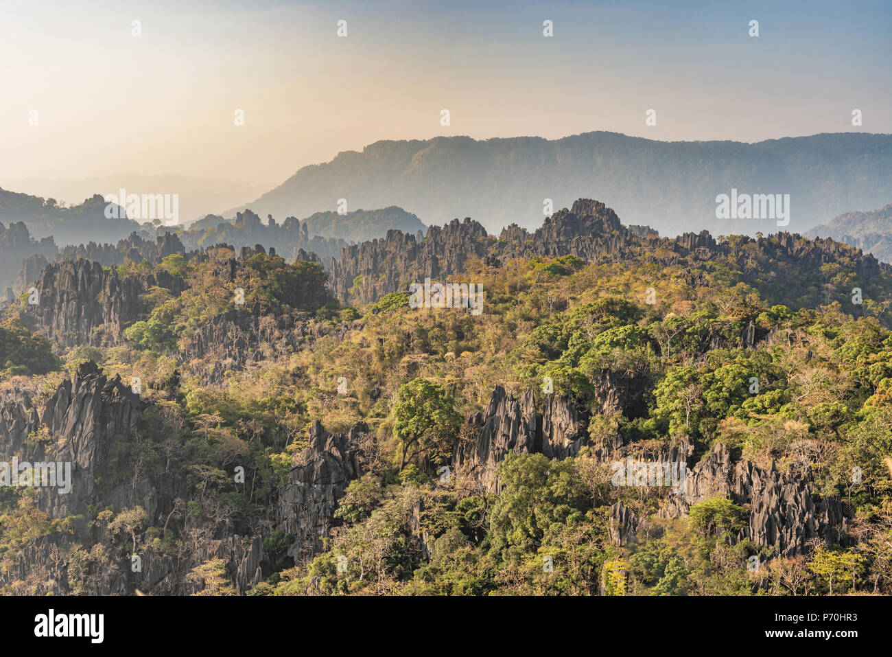 Picturesque landscape of limestone forest at the Phou Hi Poun National ...