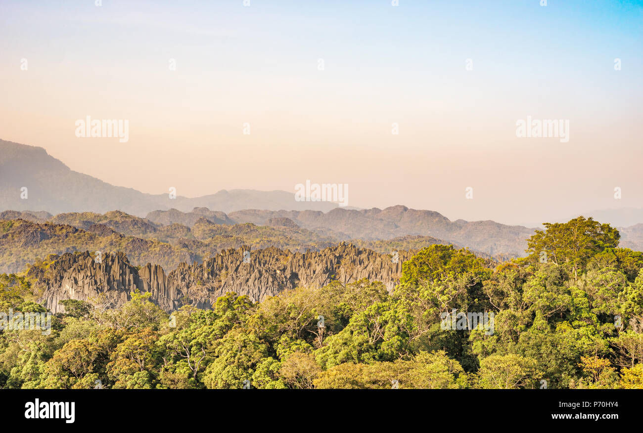 Picturesque landscape of limestone forest at the Phou Hi Poun National ...