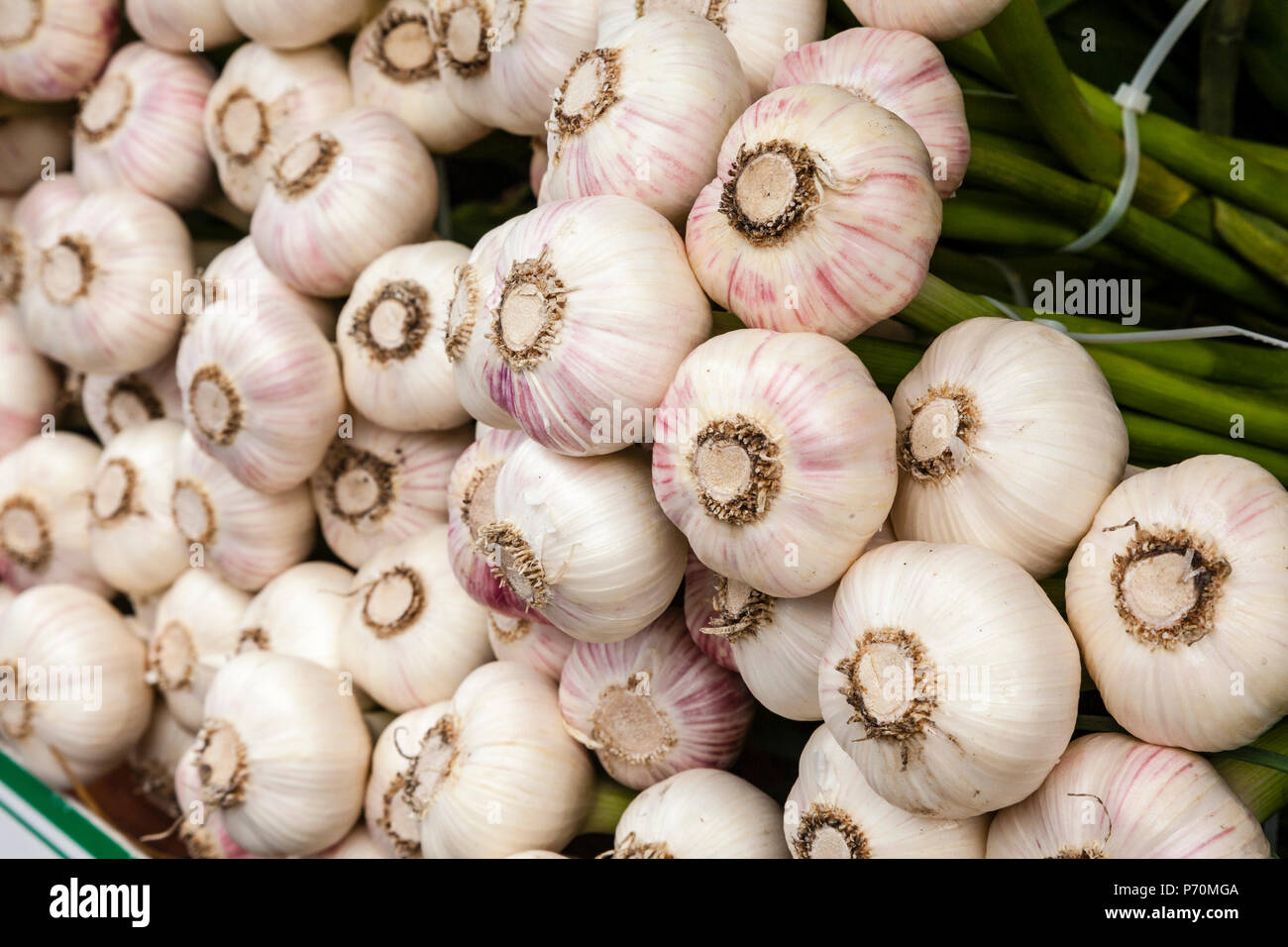 Farmers close hi-res stock photography and images - Alamy