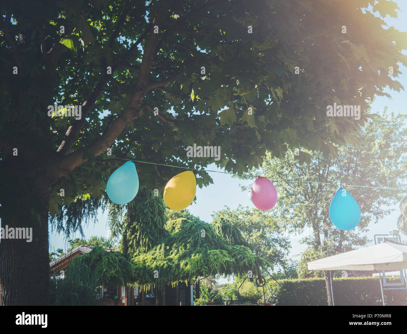 Colorful balloons hanged for outdoor party Stock Photo - Alamy