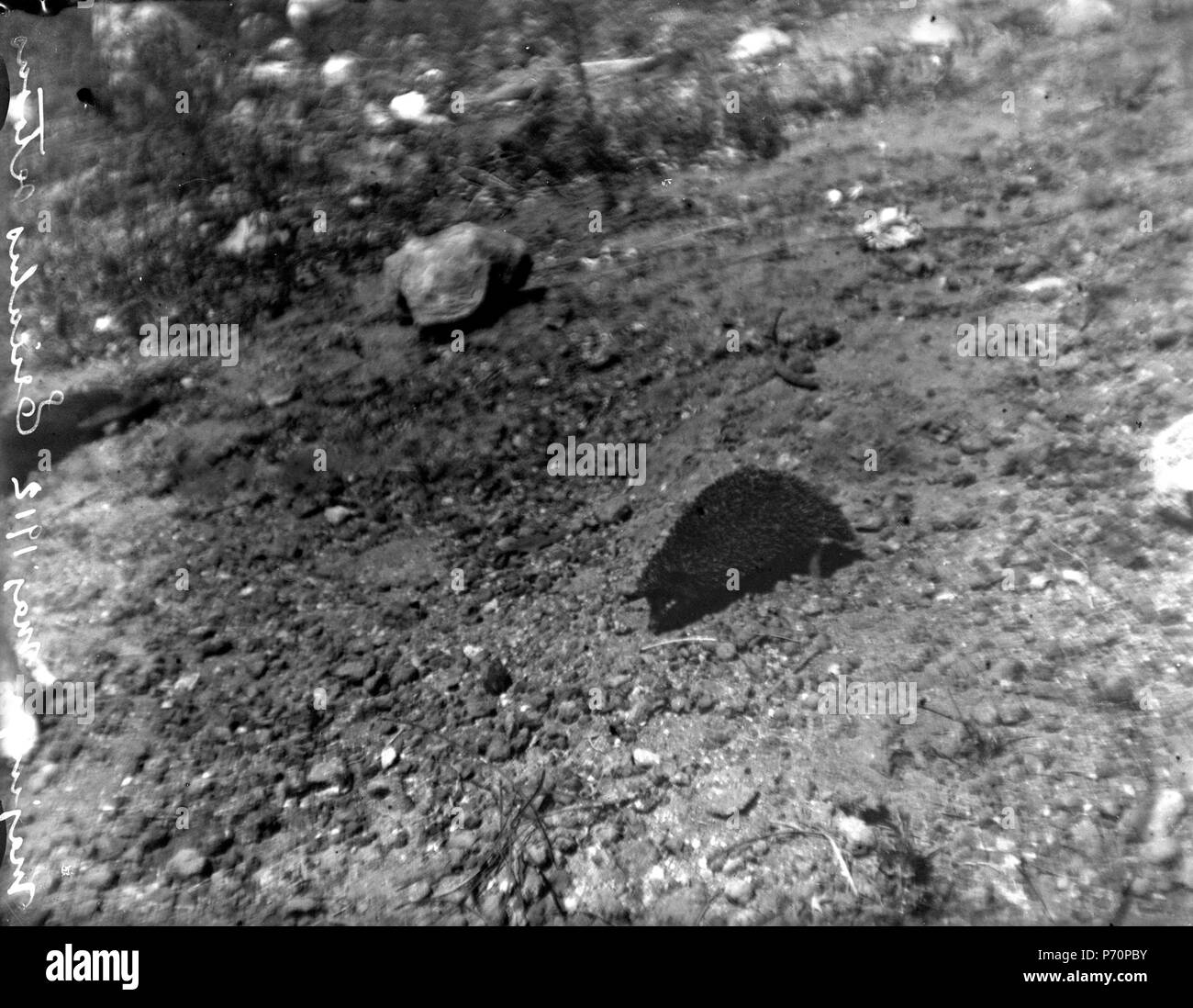 Textual material Black and White Stock Photos & Images - Alamy