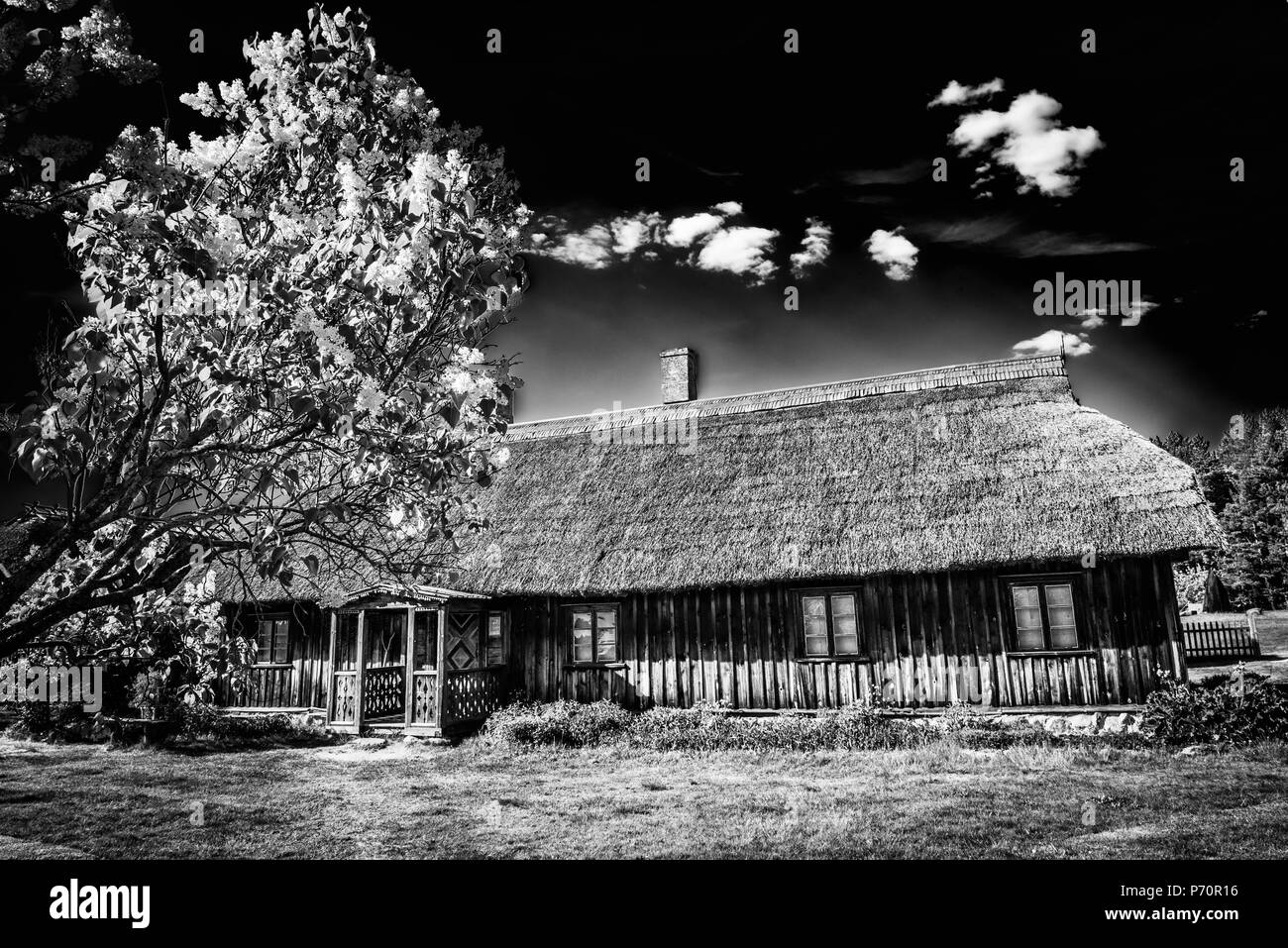 Building open air museum Black and White Stock Photos & Images - Alamy