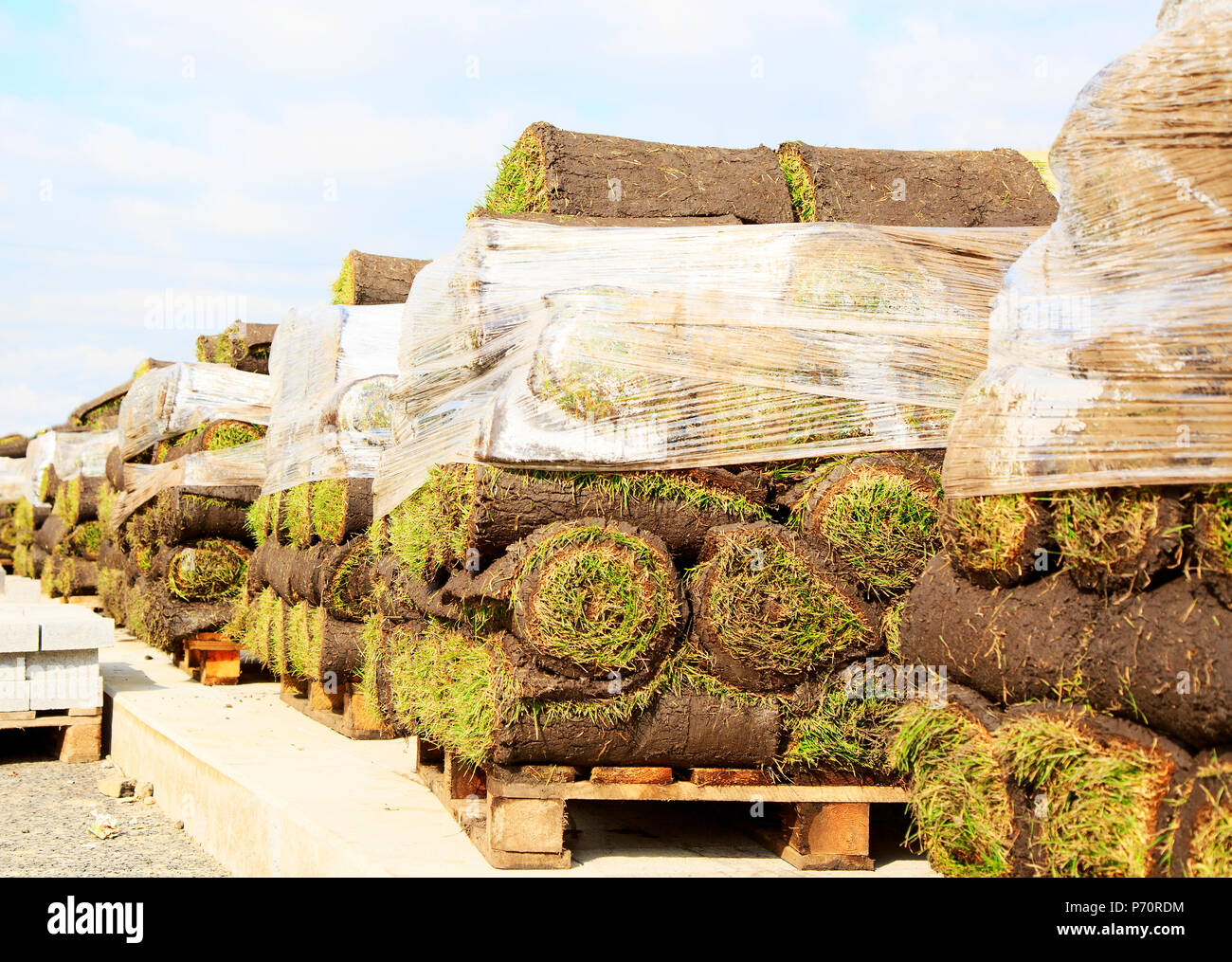 Installing grass rolls hi-res stock photography and images - Alamy