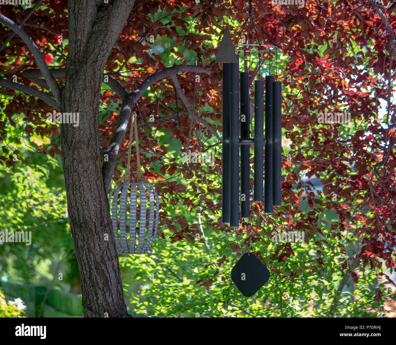 Wind chimes hanging from a tree on a colorful day Stock Photo - Alamy