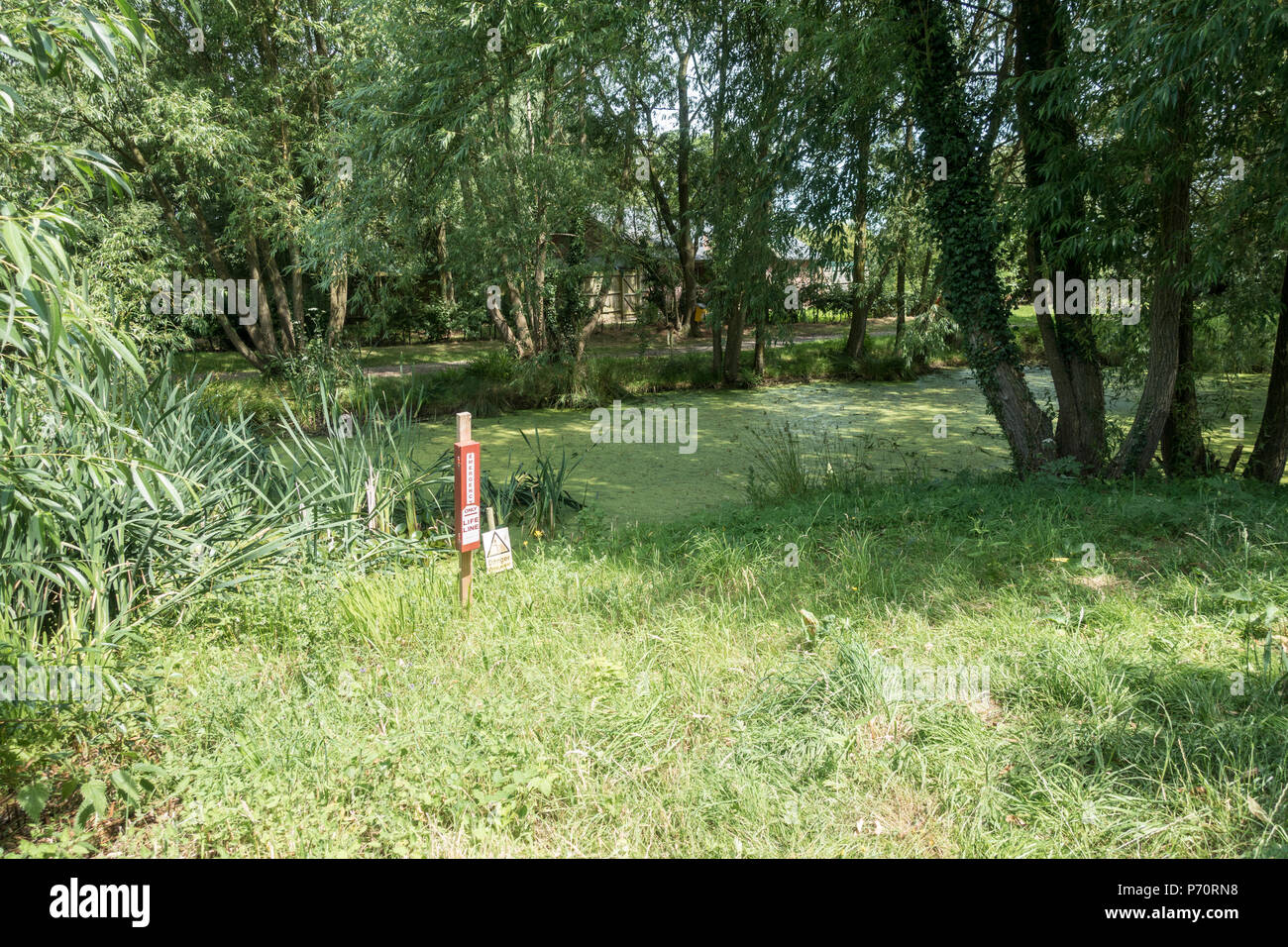 Swampy conditions hi-res stock photography and images - Alamy