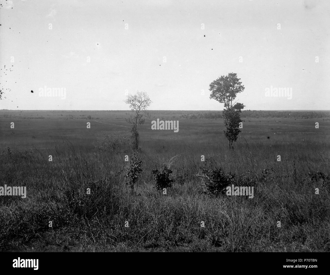 46 Panorama II. S-te Marie de Marovoay. Madagaskar - SMVK - 021948 ...
