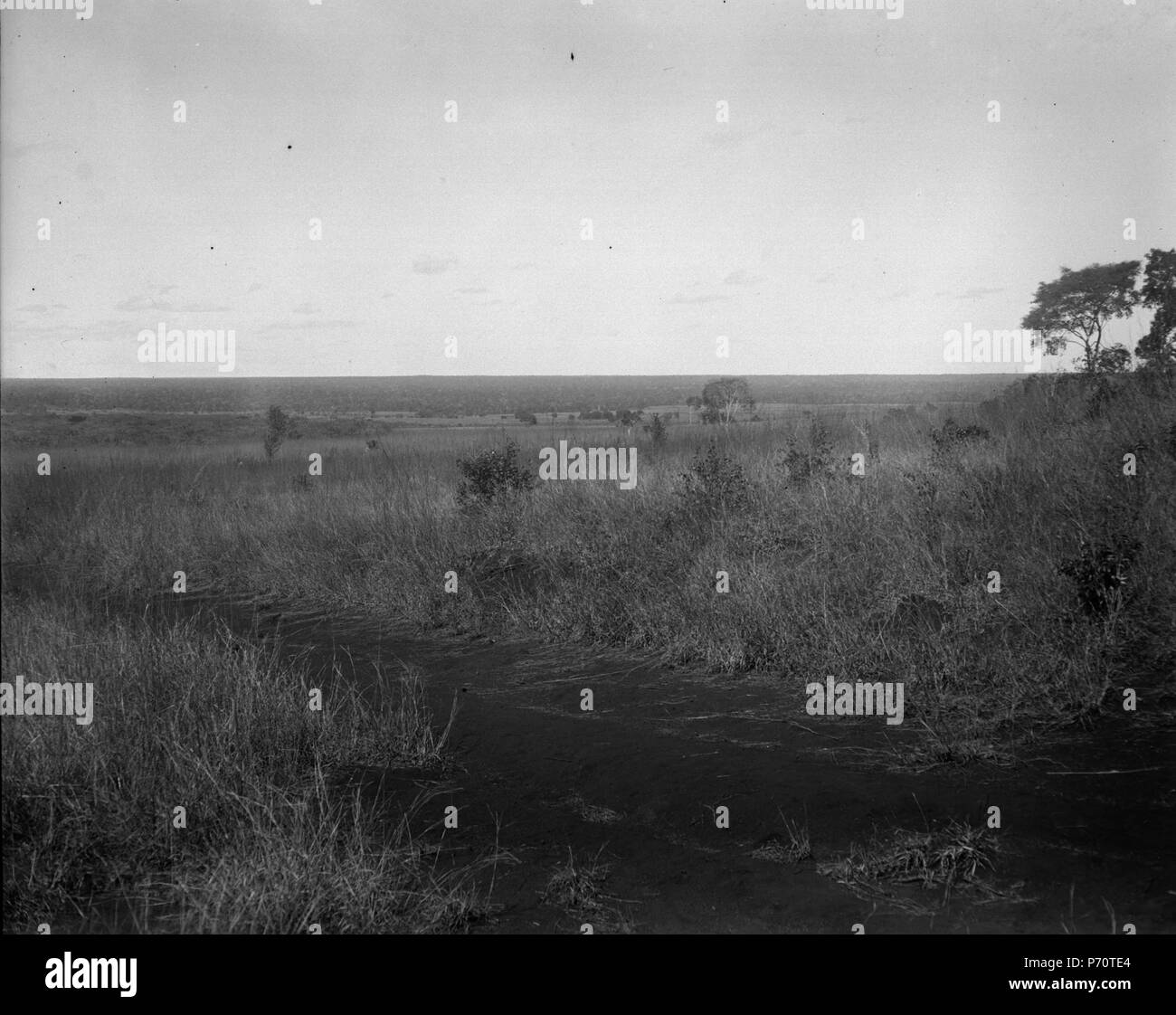 46 Panorqma IV. S-te Marie de Marovoay. Madagaskar - SMVK - 021950 ...