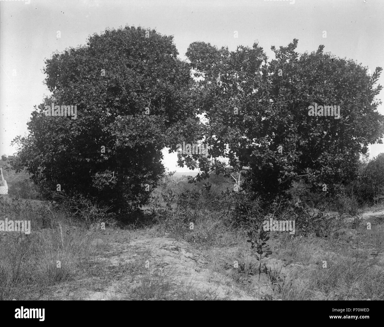 Majunga madagaskar hi-res stock photography and images - Alamy