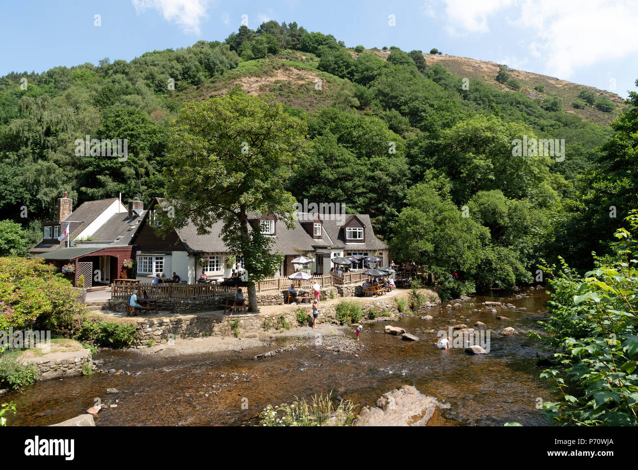 Banks of river teign hi-res stock photography and images - Alamy