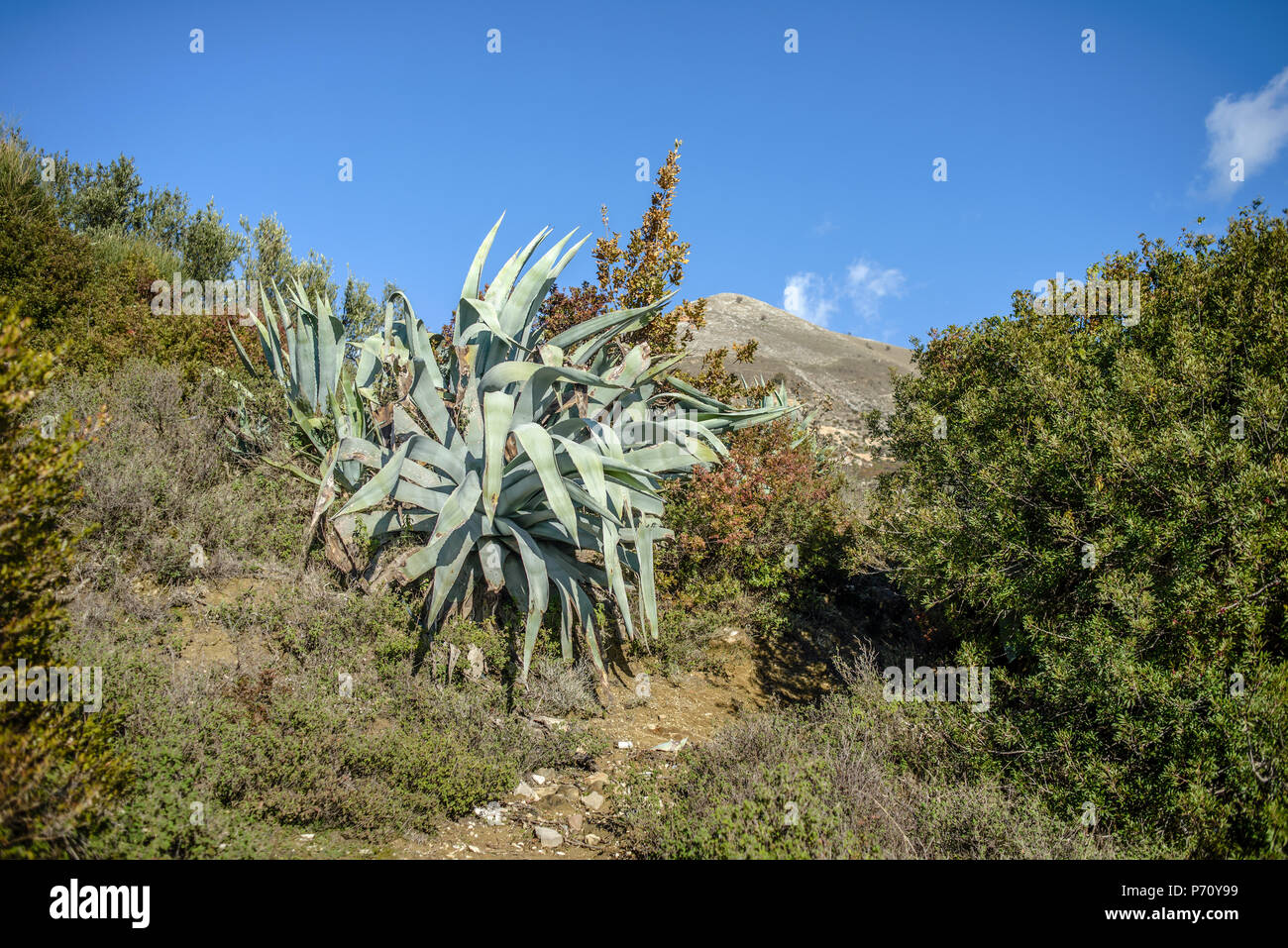 Piqeras village, Saranda district, Albania Stock Photo - Alamy