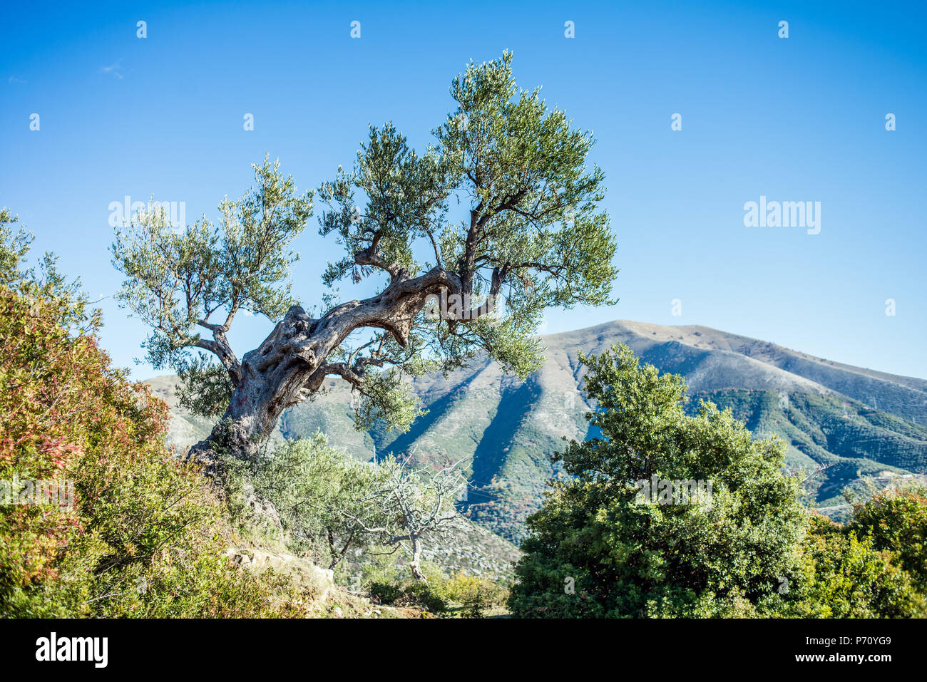 Sarande district hi-res stock photography and images - Alamy