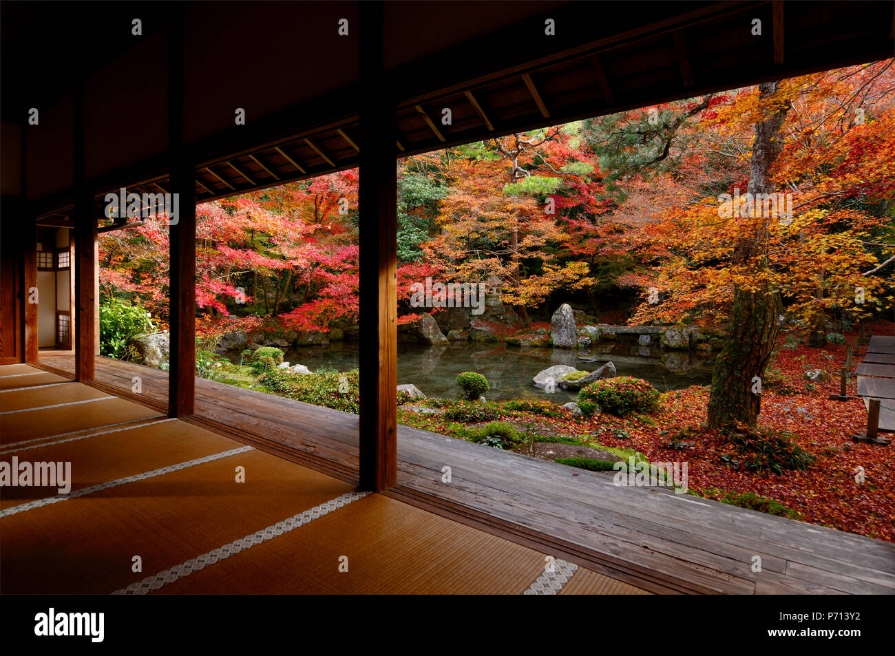 Late autumn in Renge-ji temple pond garden, Kyoto, Japan, Asia Stock ...