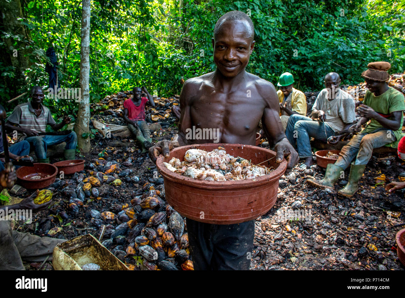 Cocoa ivory coast hi-res stock photography and images - Alamy