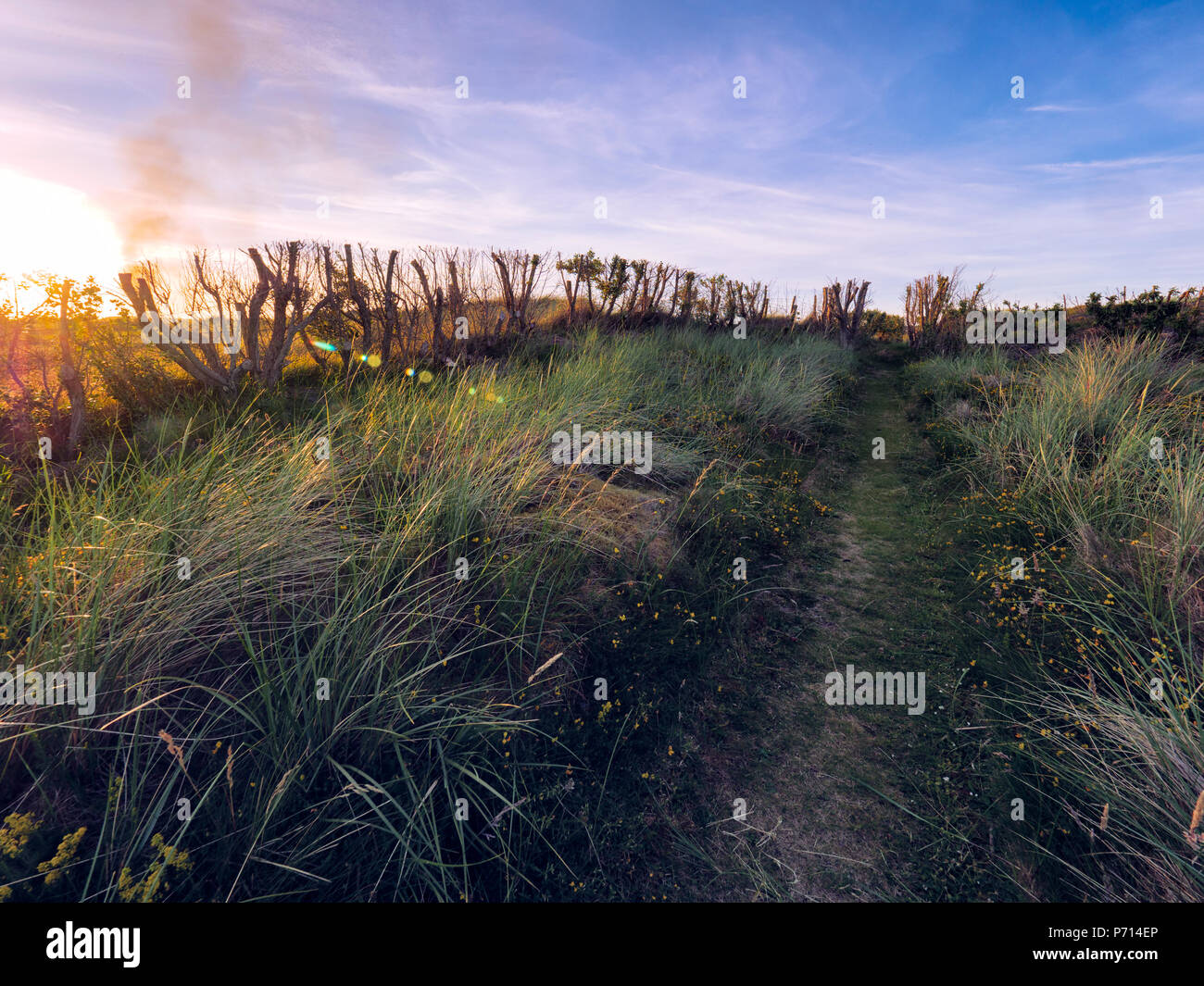 Country park county donegal hi-res stock photography and images - Alamy