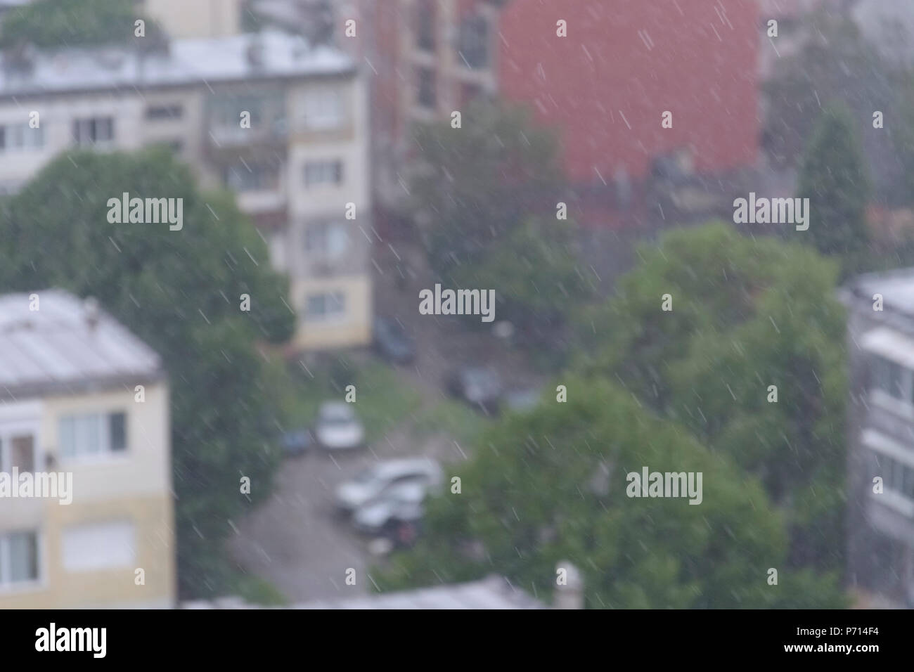 Wet ground in the park vertical view hi-res stock photography and ...