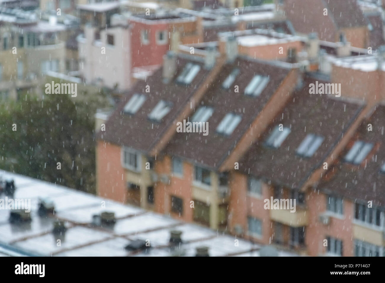 Wet ground in the park vertical view hi-res stock photography and ...