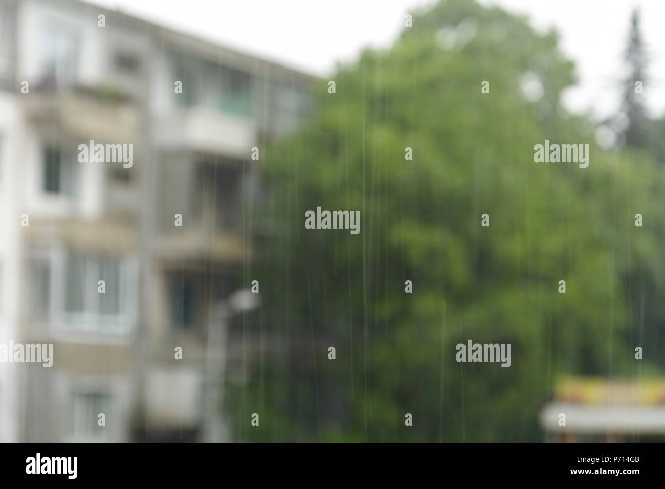 Wet ground in the park vertical view hi-res stock photography and ...