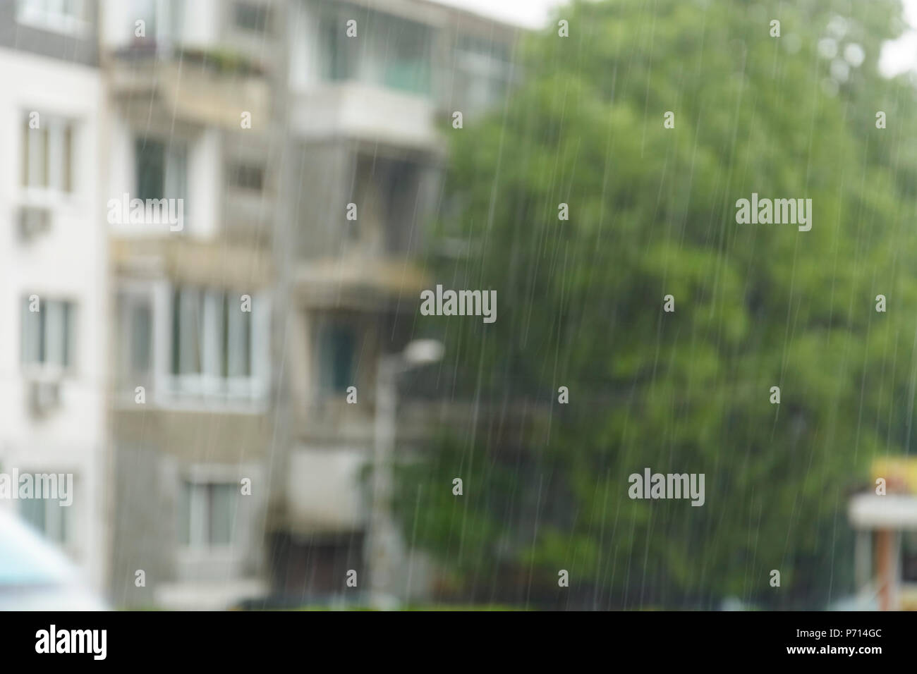 Heavy rain ,vertical drops against trees in the background Stock Photo ...