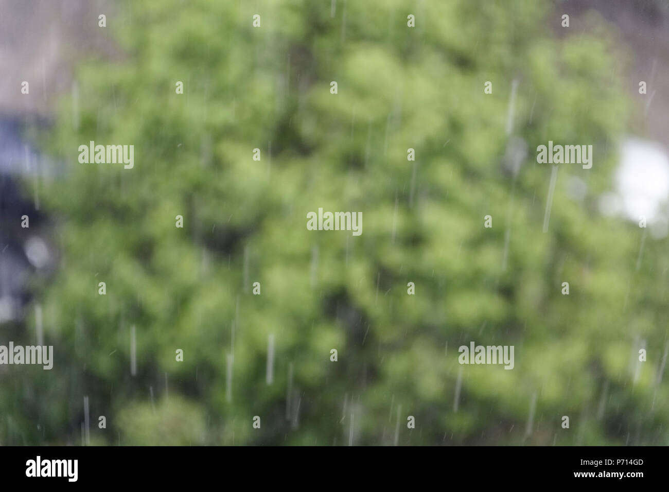 Wet ground in the park vertical view hi-res stock photography and ...