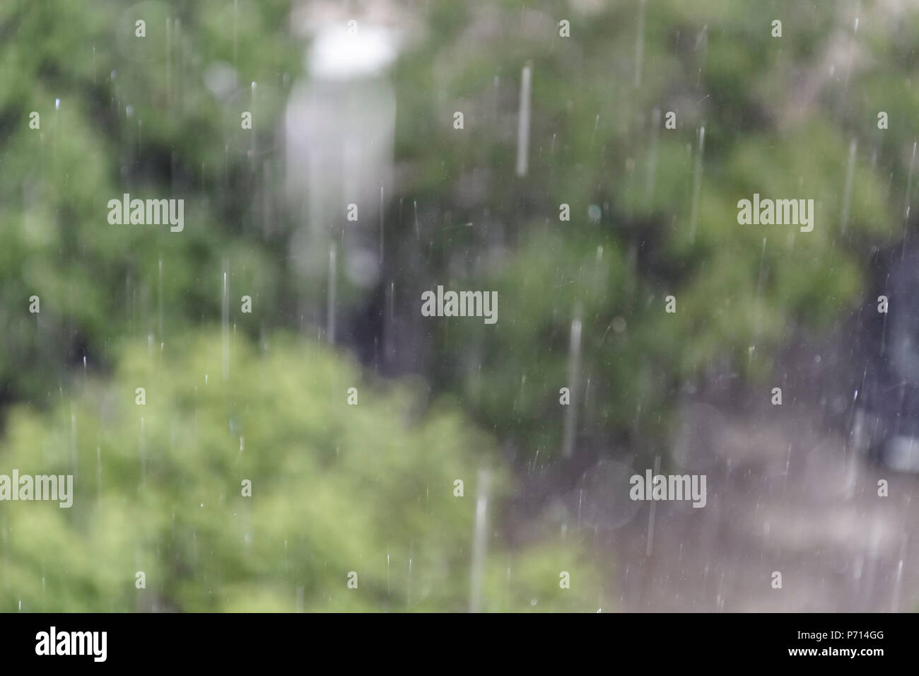 Wet ground in the park vertical view hi-res stock photography and ...