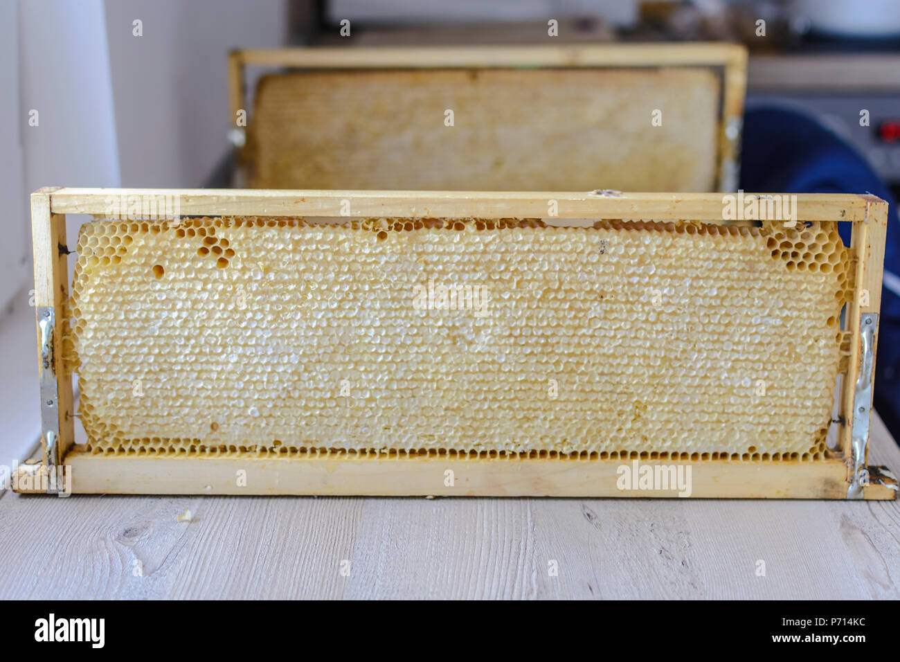 honey frame front view. made of wood and full of honey hided by the wax ...