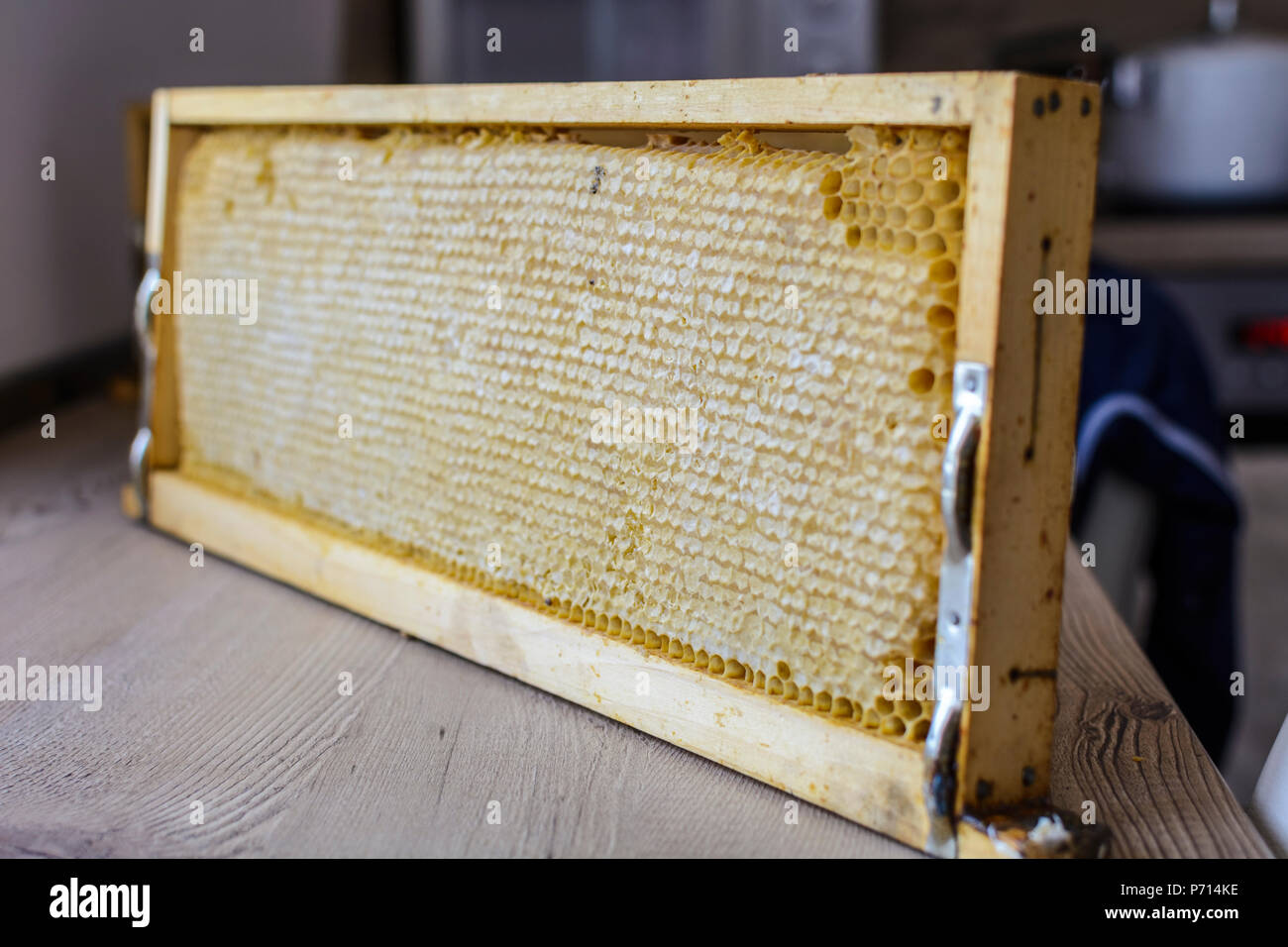 honey frame front view. made of wood and full of honey hided by the wax ...