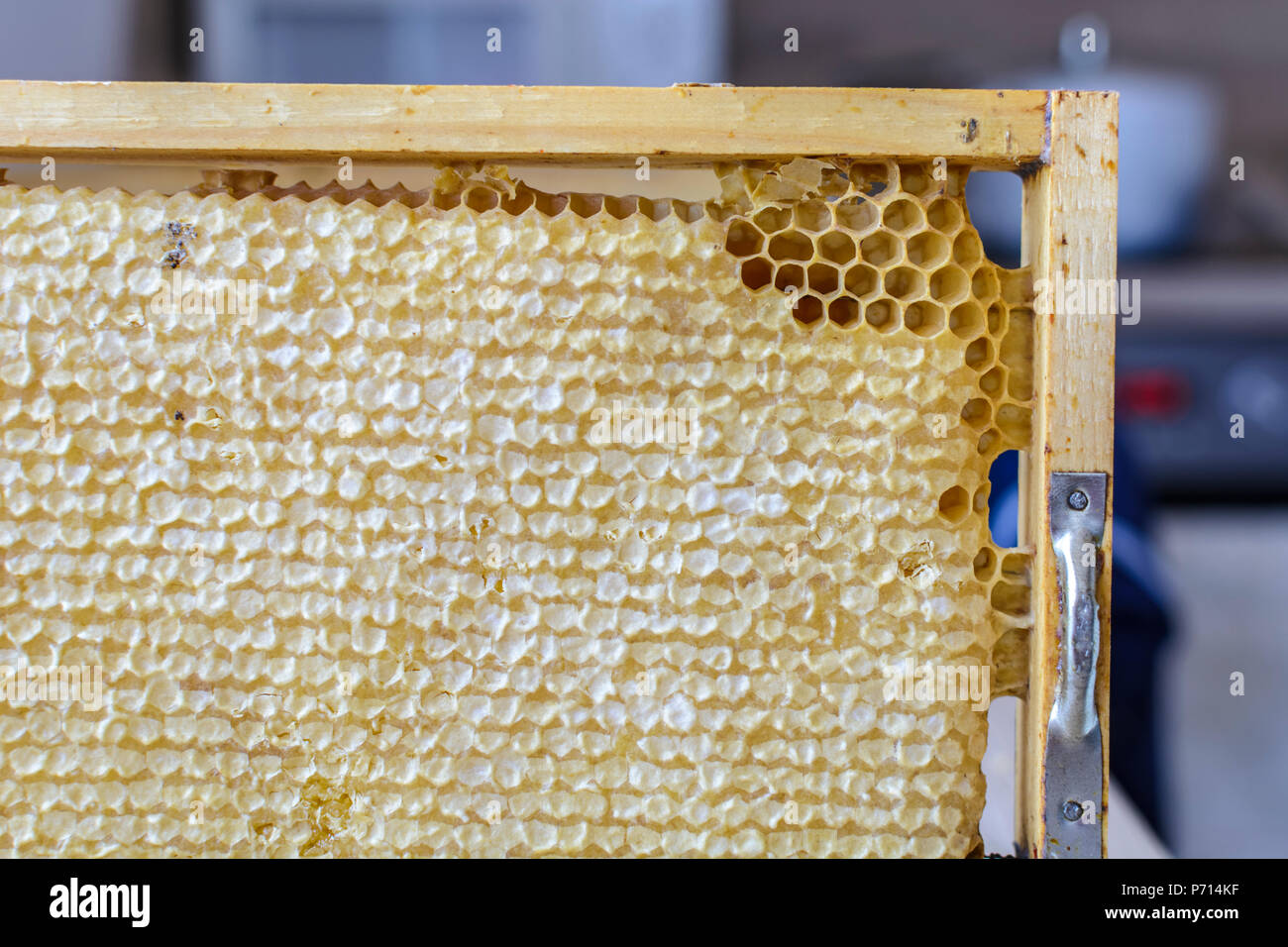 Wooden bee hive isolated hi-res stock photography and images - Alamy