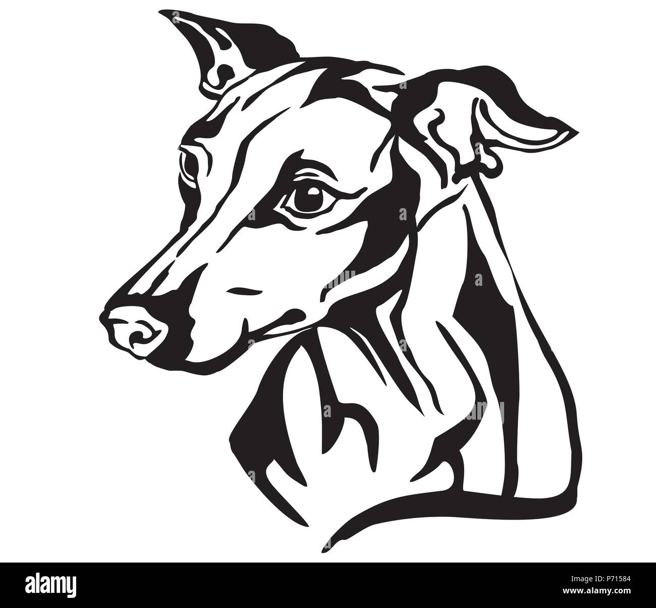 Decorative portrait in profile of Dog Italian Greyhound, vector ...