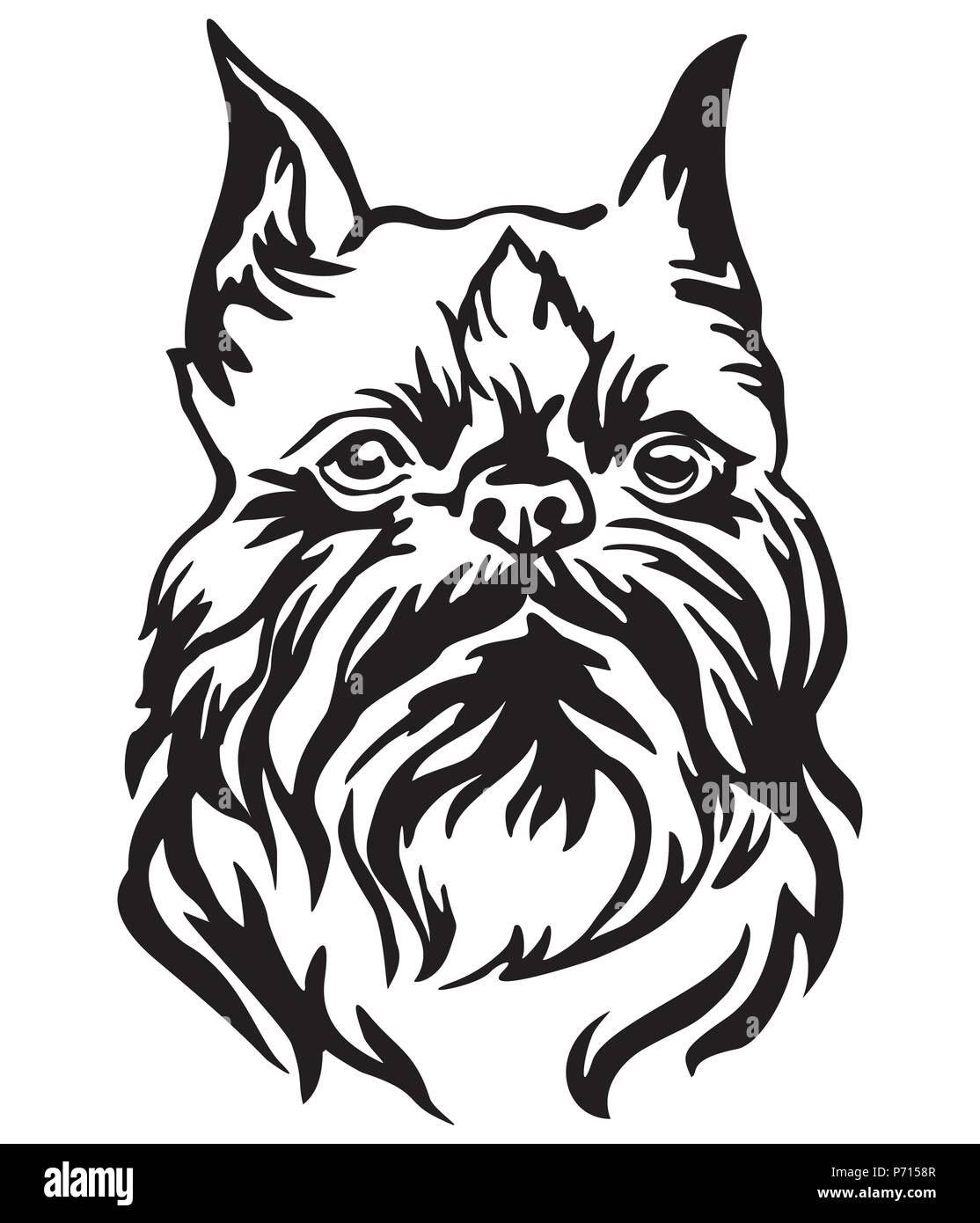Decorative portrait of Dog Brussels Griffon, vector isolated ...