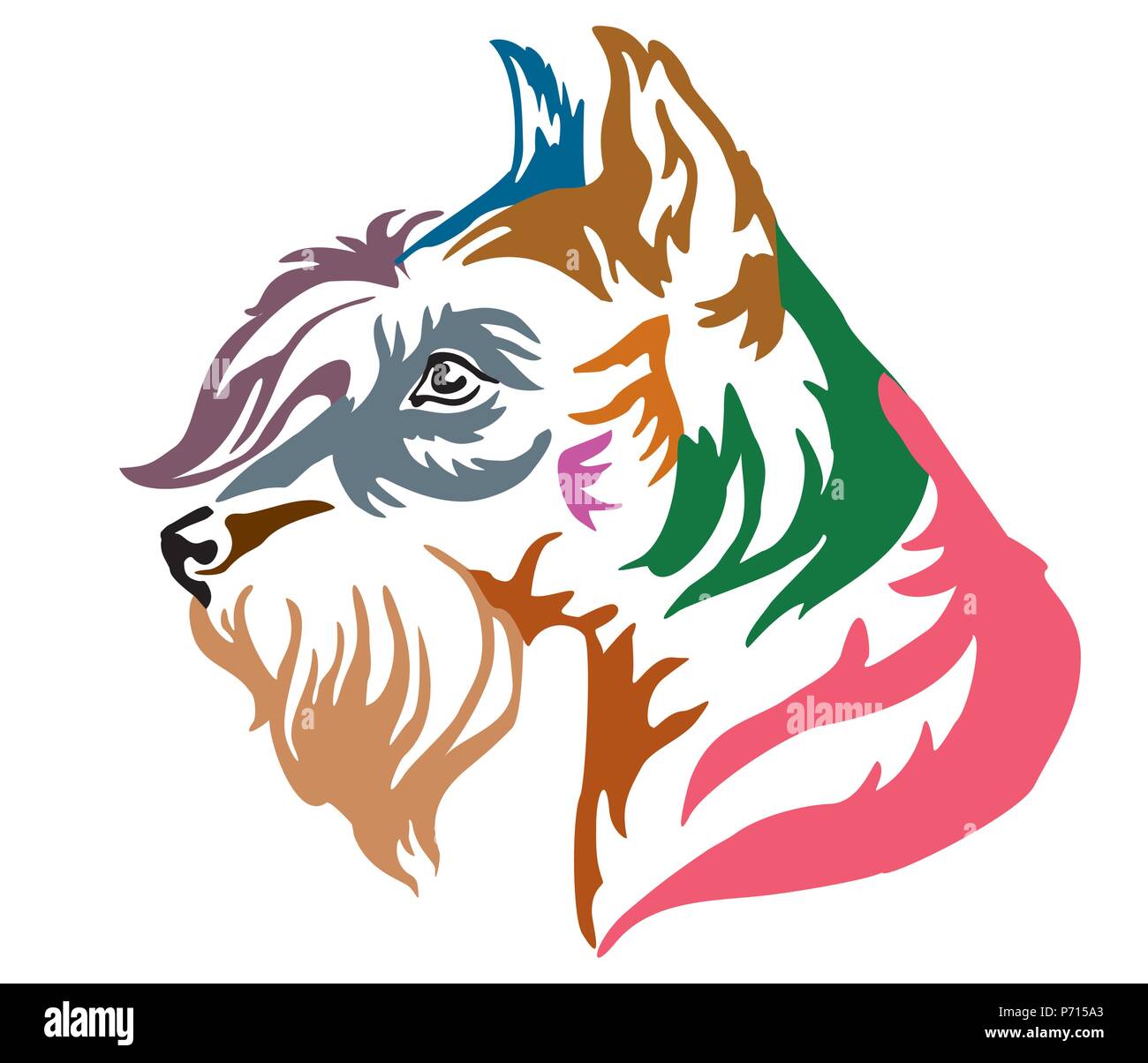 Colorful decorative portrait in profile of Dog Miniature Schnauzer ...