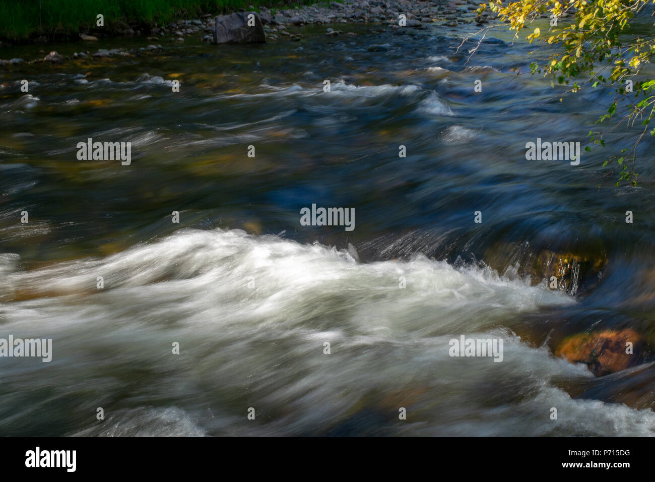 Greenough hi-res stock photography and images - Alamy