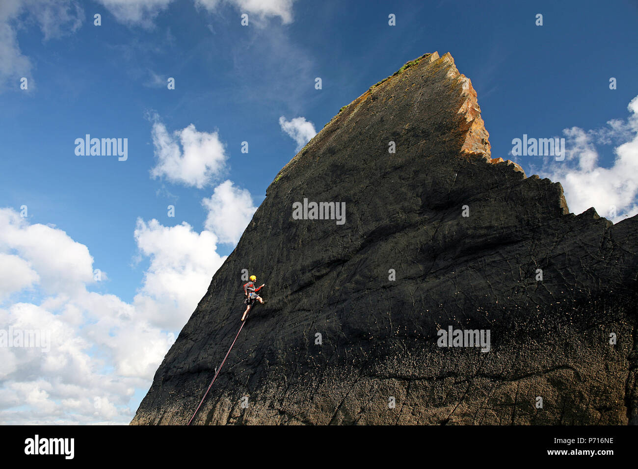 Rock climber in action, Culm Coast, North Devon, England, United ...