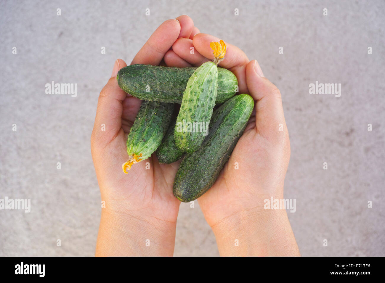 Cucumbers in hand hi-res stock photography and images - Alamy