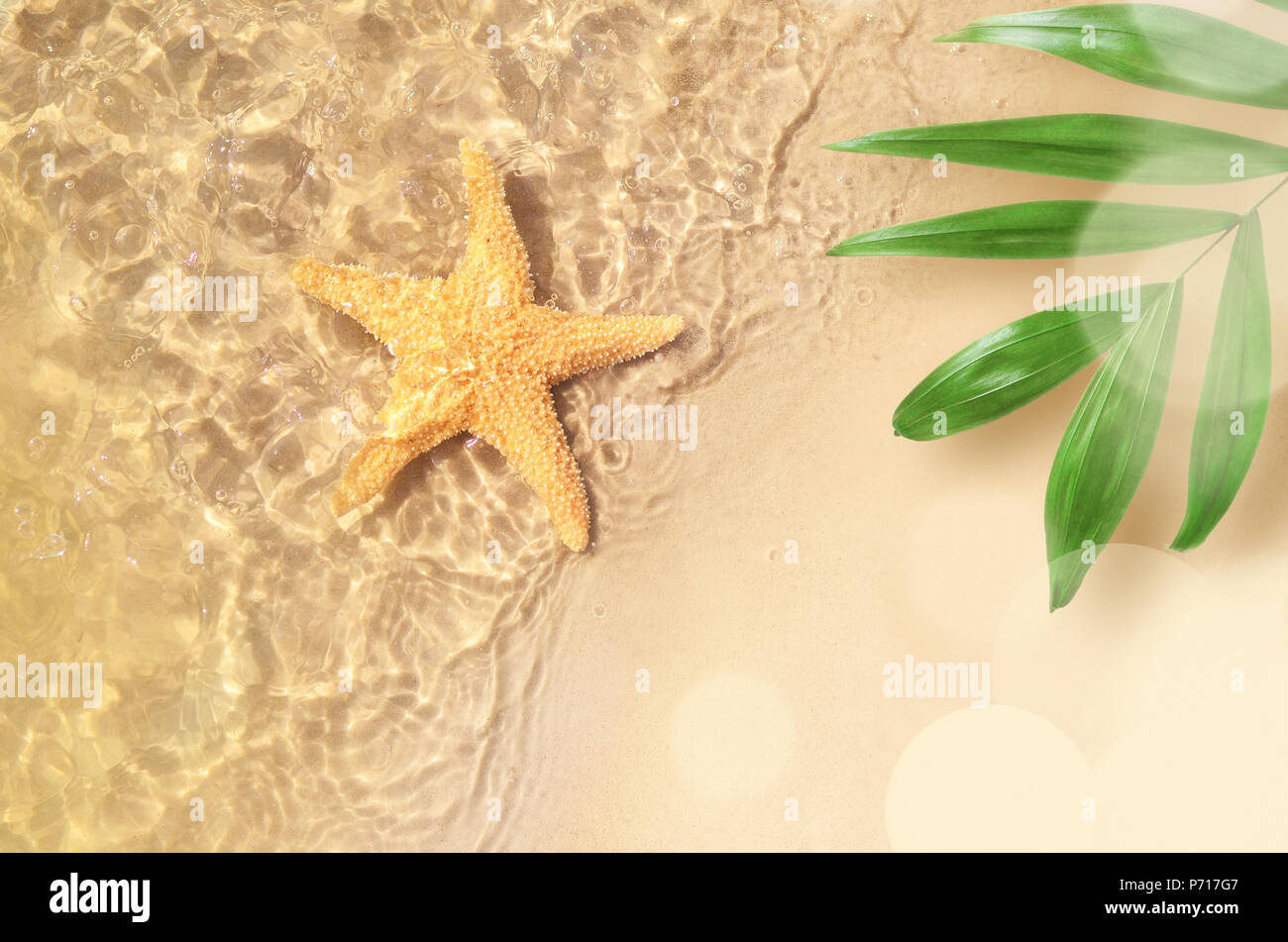 Starfish on the summer beach in sea water. Summer background. Summer ...