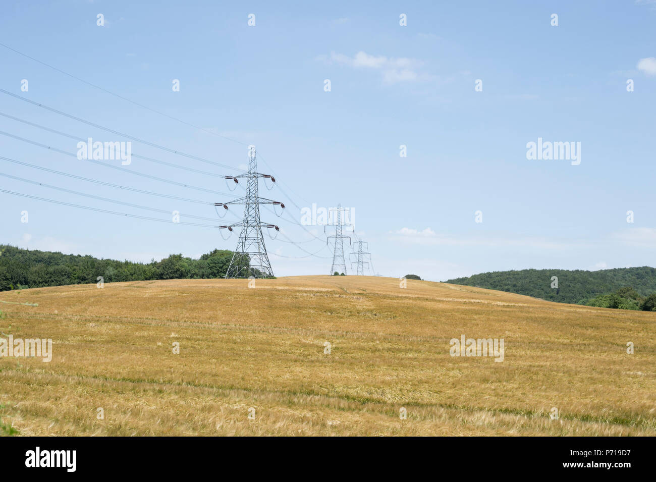 Electricity pylons of the United Kingdom national grid in a field of ...