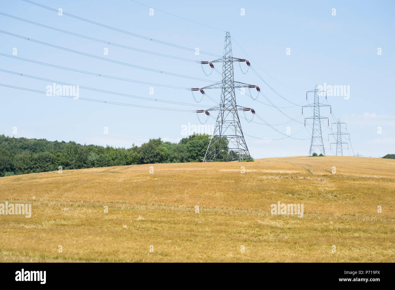 Electricity pylons of the United Kingdom national grid in a field of ...