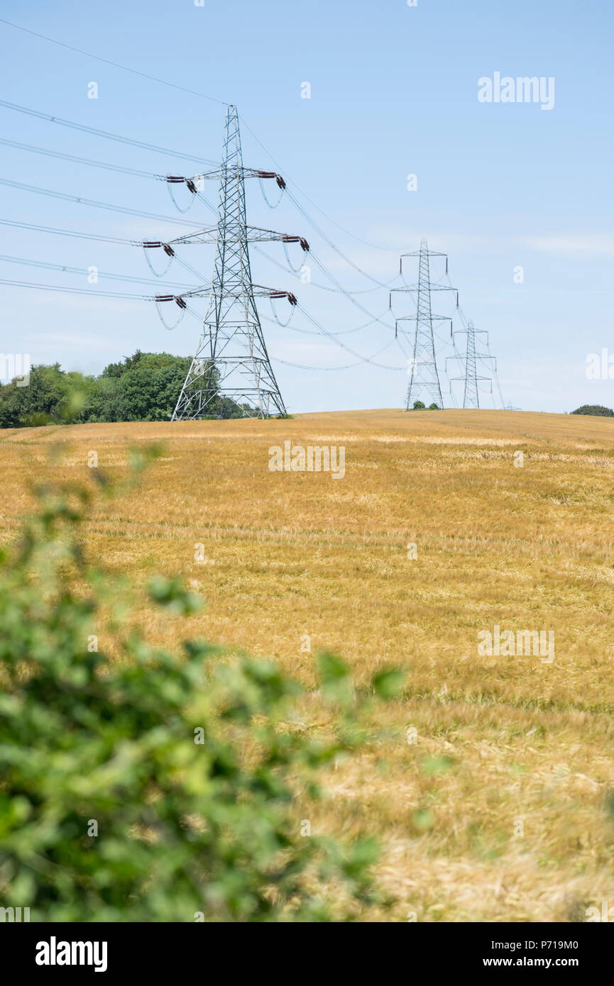 Electricity pylons of the United Kingdom national grid in a field of ...