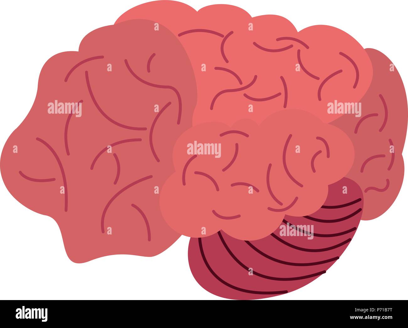 Human brain cartoon Stock Vector Image & Art - Alamy