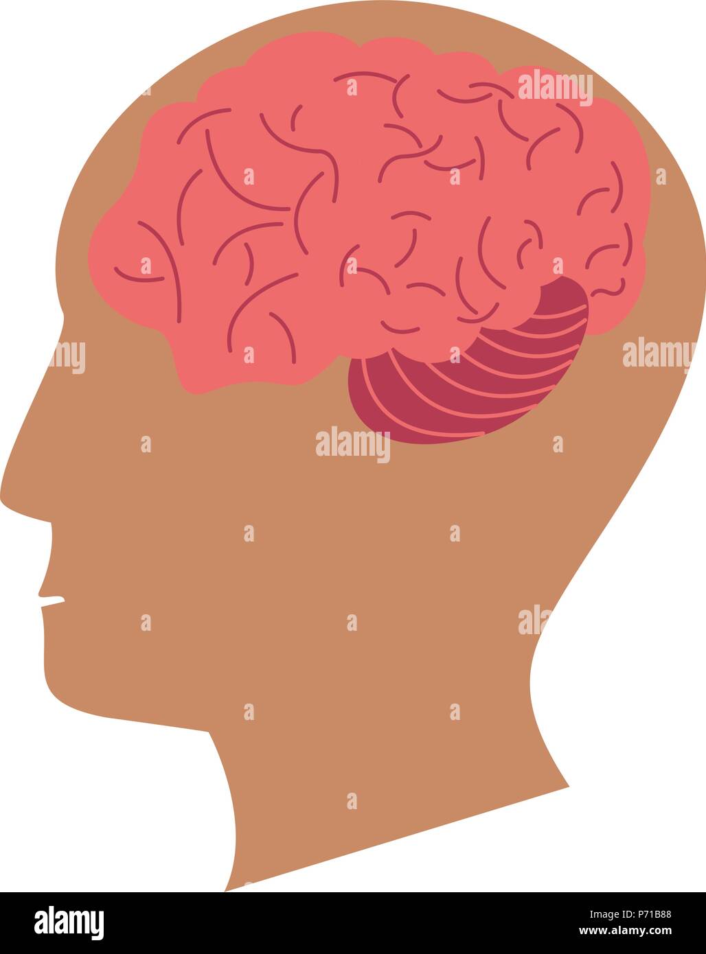 Human brain on head Stock Vector Image & Art - Alamy