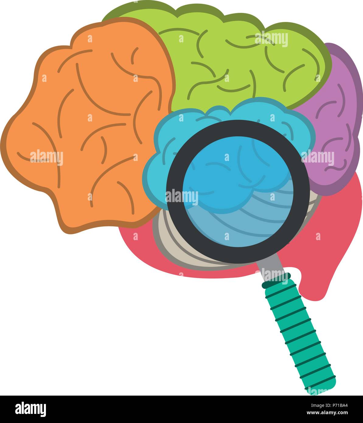 Brain hemispheres cartoon Stock Vector Image & Art - Alamy