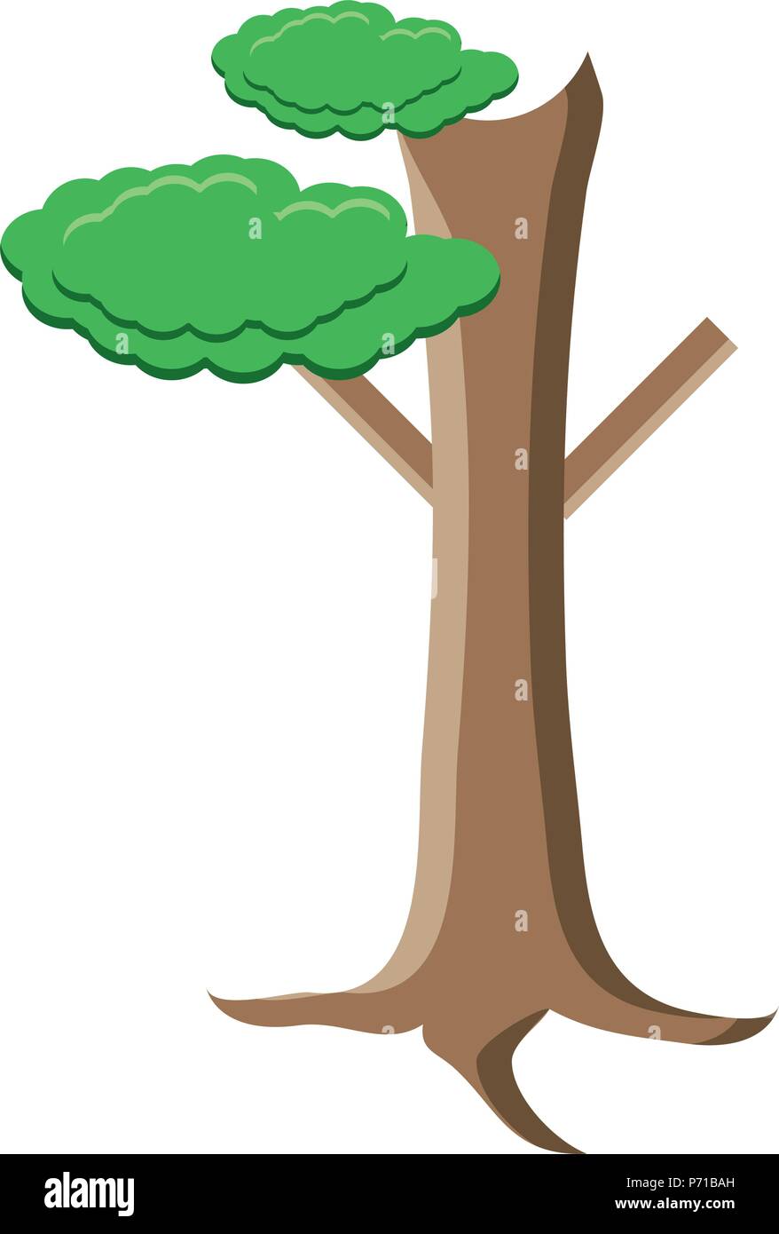 tree with little foliage icon over white background, vector ...