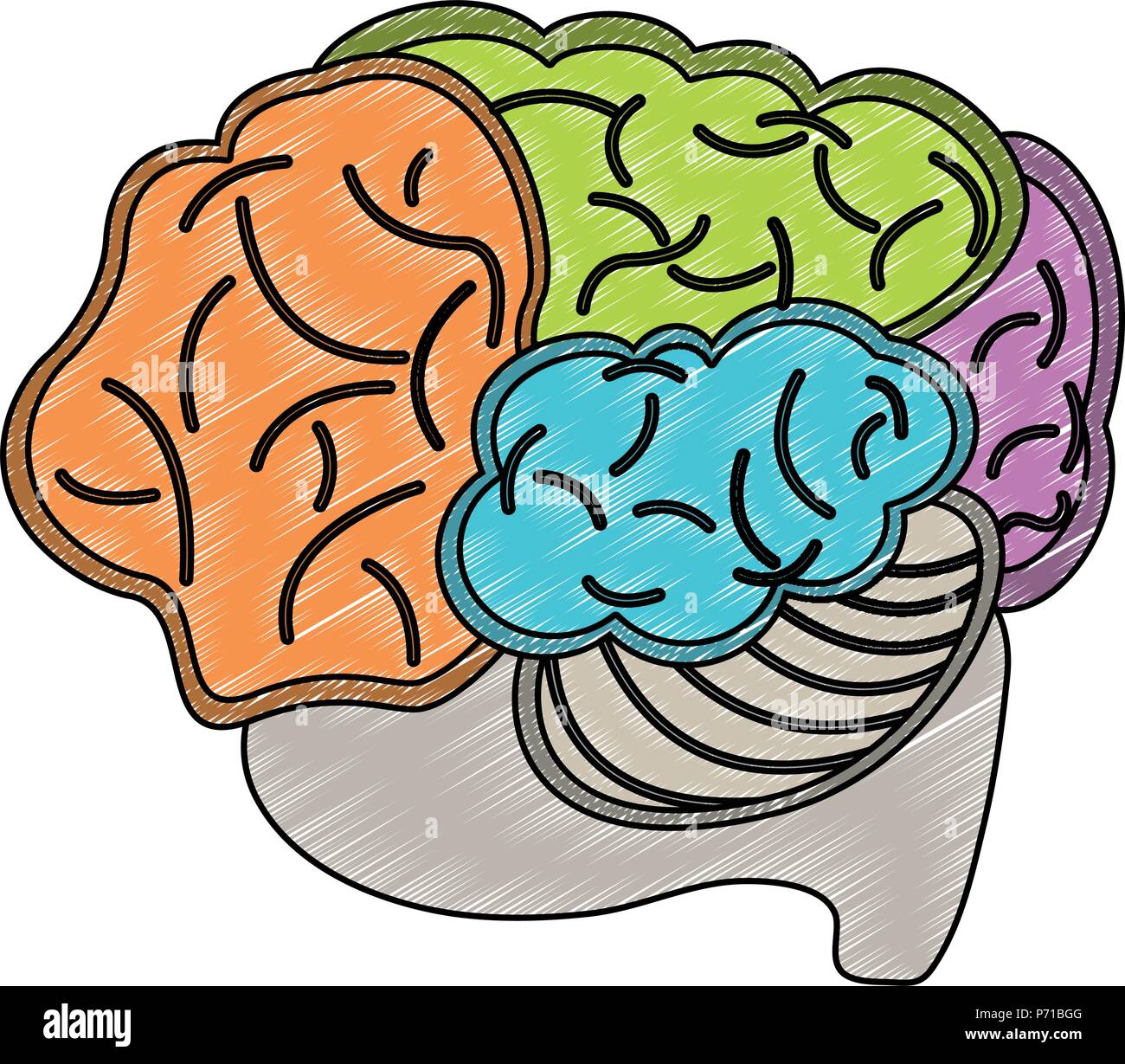 Brain hemispheres cartoon scribble Stock Vector Image & Art - Alamy