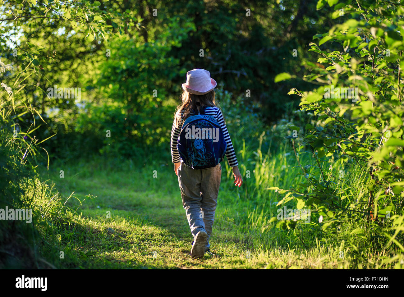 Young traveler trekking woods backpack hi-res stock photography and ...
